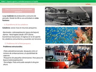 Tema 7. Espacio agrario y actividad pesquera en España (II). Ganadería ...