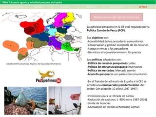 Tema 7. Espacio agrario y actividad pesquera en España (II). Ganadería ...