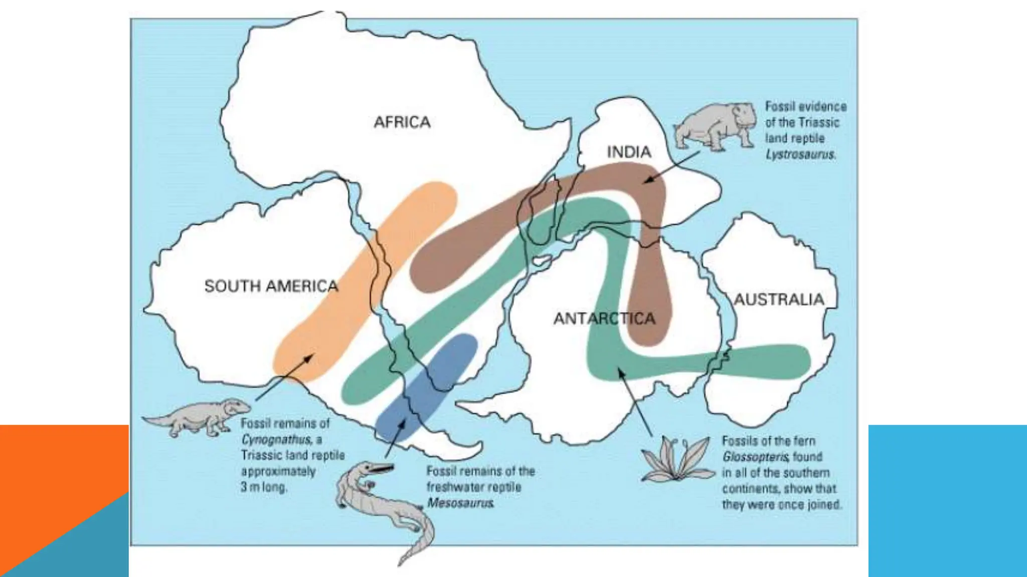 geotectonics lec_1 | PPTX