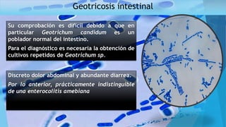 Geotricosis (micosis oportunista) | PPTX