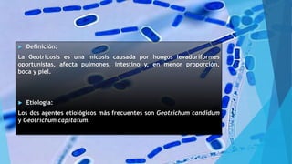 Geotricosis (micosis oportunista) | PPTX