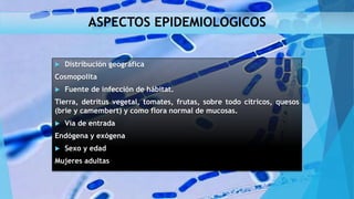 Geotricosis (micosis oportunista) | PPTX