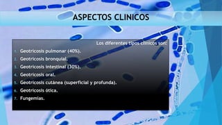 Geotricosis (micosis oportunista) | PPTX
