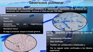 Geotricosis (micosis oportunista) | PPTX