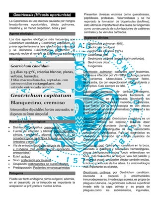 Geotricosis (resumen) | PDF