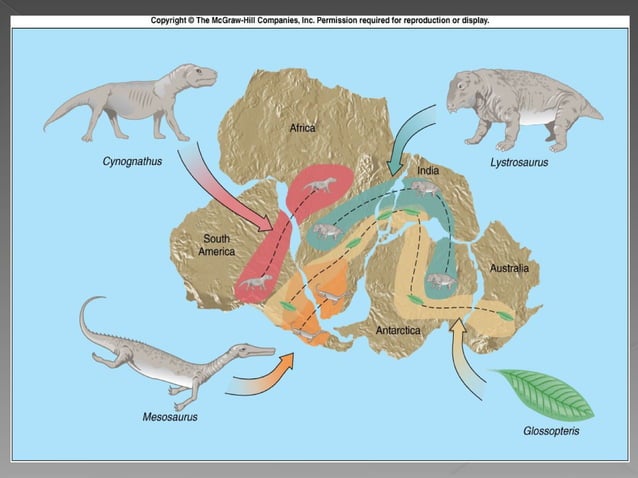 tectonic plates, seafloor spreading, several plate motion | PPT