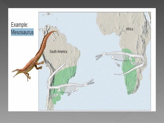 tectonic plates, seafloor spreading, several plate motion | PPT