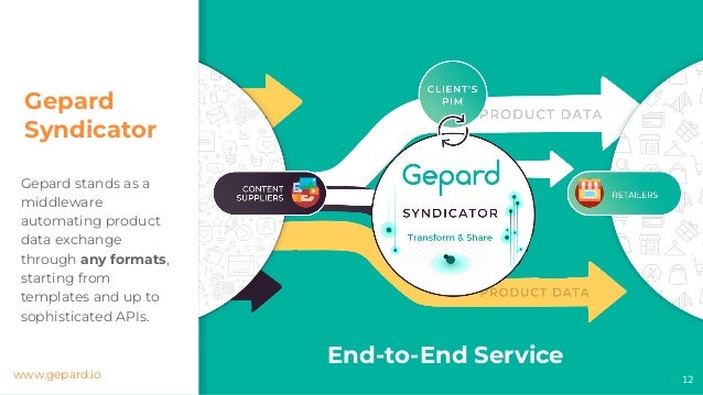 Gepard Platform Overview.pdf