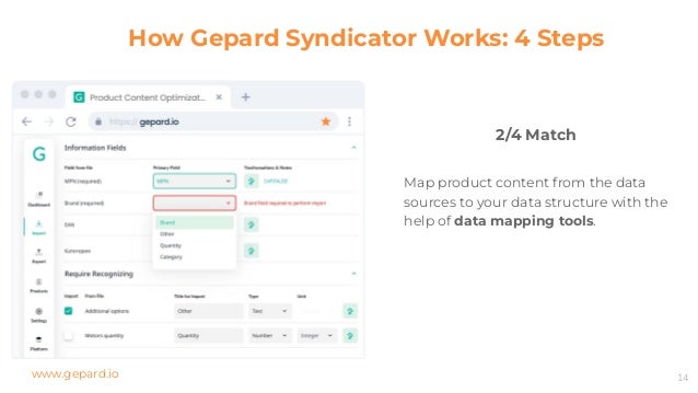 Gepard Platform Overview.pdf
