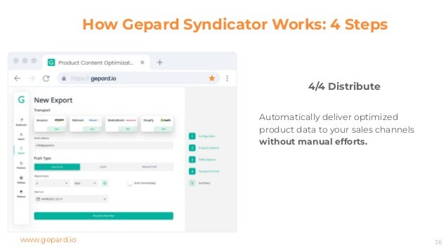 Gepard Platform Overview.pdf