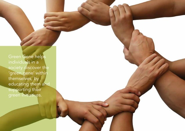 GEPIL Profile by Roar Studios | PPT