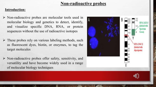 Radioactive and Non- radioactive probes | PPTX | Genetics | Science