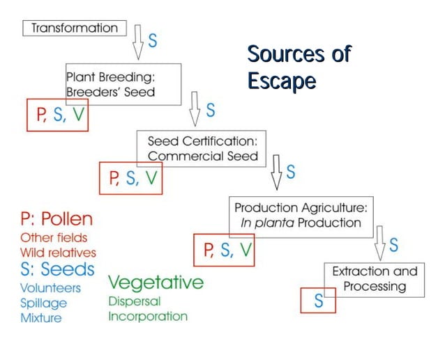 GMO’s and the Environment | PDF | Agriculture | Industries