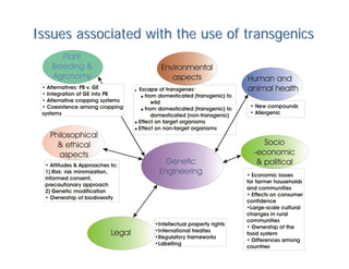 GMO’s and the Environment | PDF