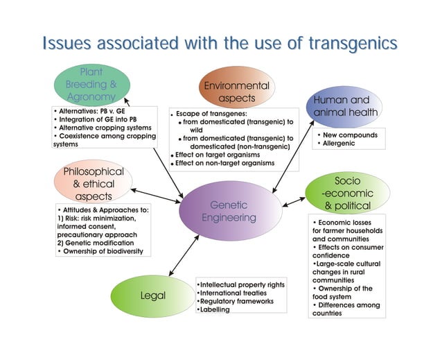 GMO’s and the Environment | PDF | Agriculture | Industries