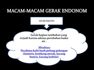 Gerak pada tumbuhan, | PPT