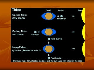 Gerakan bumi dan kejadian | PPT