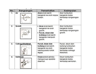 Gerak balas tumbuhan | PPT