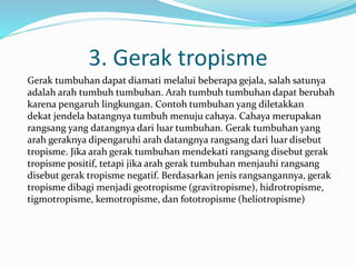 Gerak pada makhluk hidup | PPTX