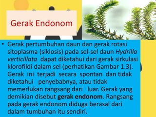 Gerak pada makhluk hidup | PPT