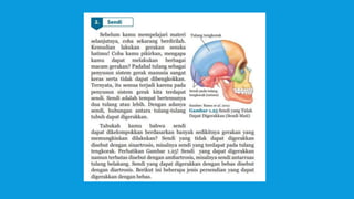 GERAK PADA MANUSIA.pptx