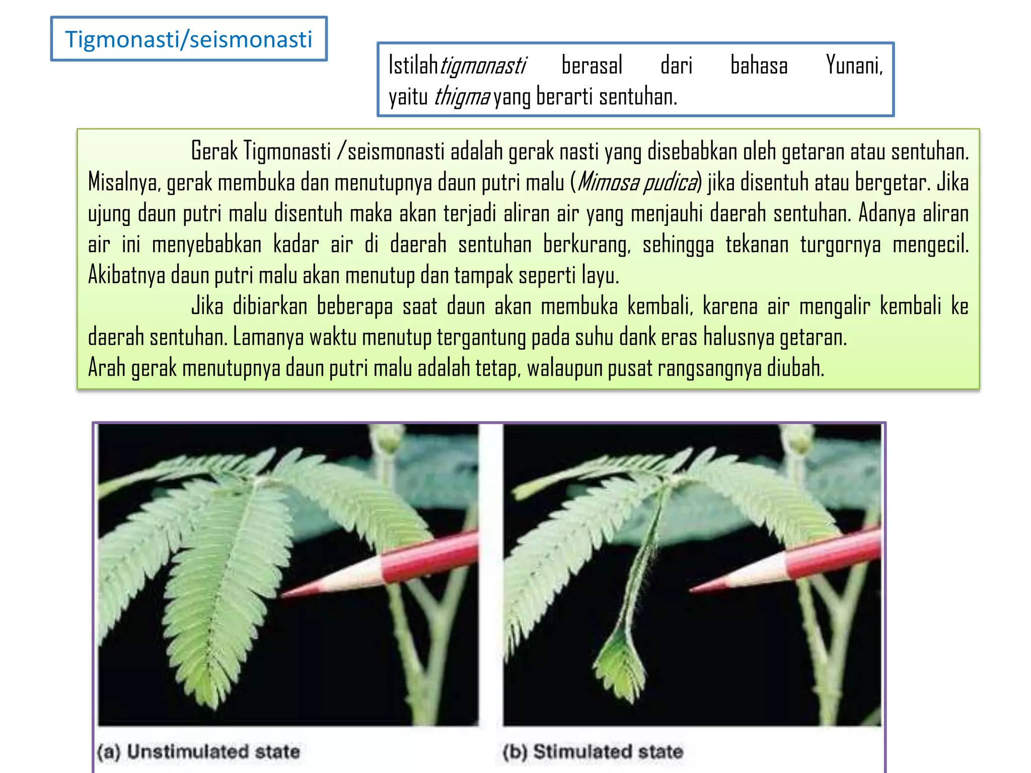 Gerak pada tumbuhan | PPTX