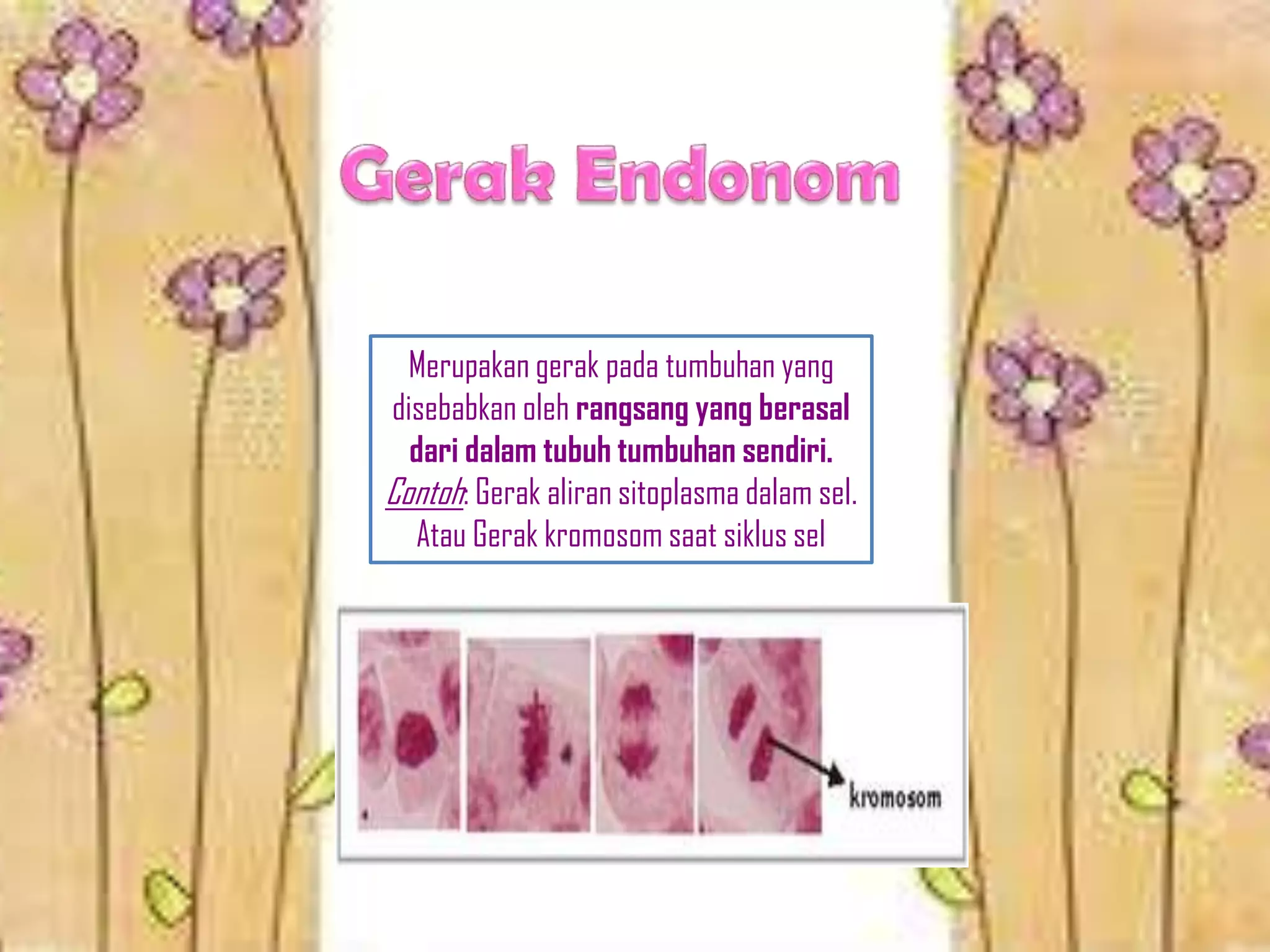 Gerak pada tumbuhan | PPTX