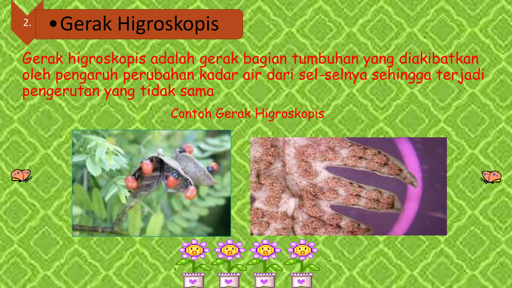 Gerak pada tumbuhan | PPTX