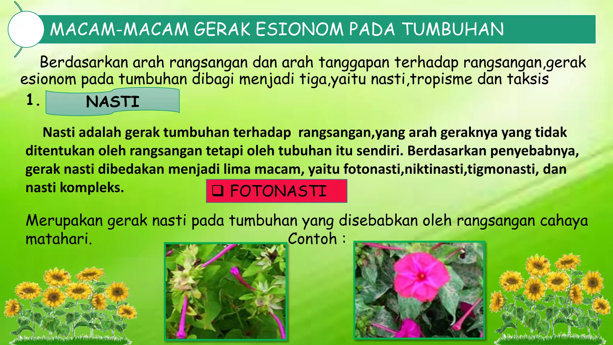 Gerak pada tumbuhan | PPTX