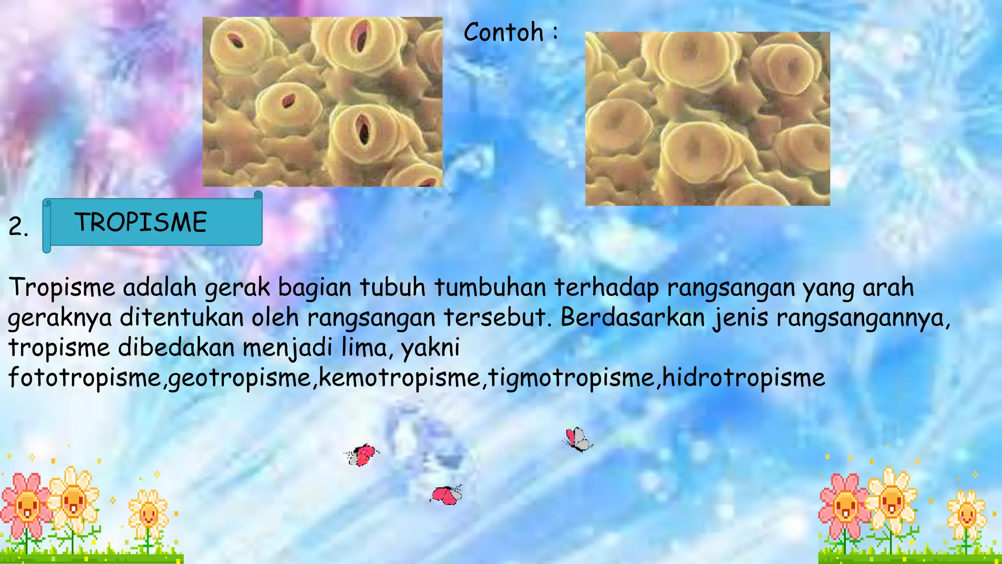 Gerak pada tumbuhan | PPTX