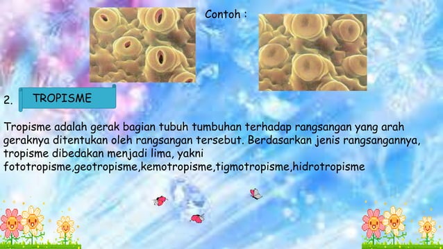 Gerak pada tumbuhan | PPTX