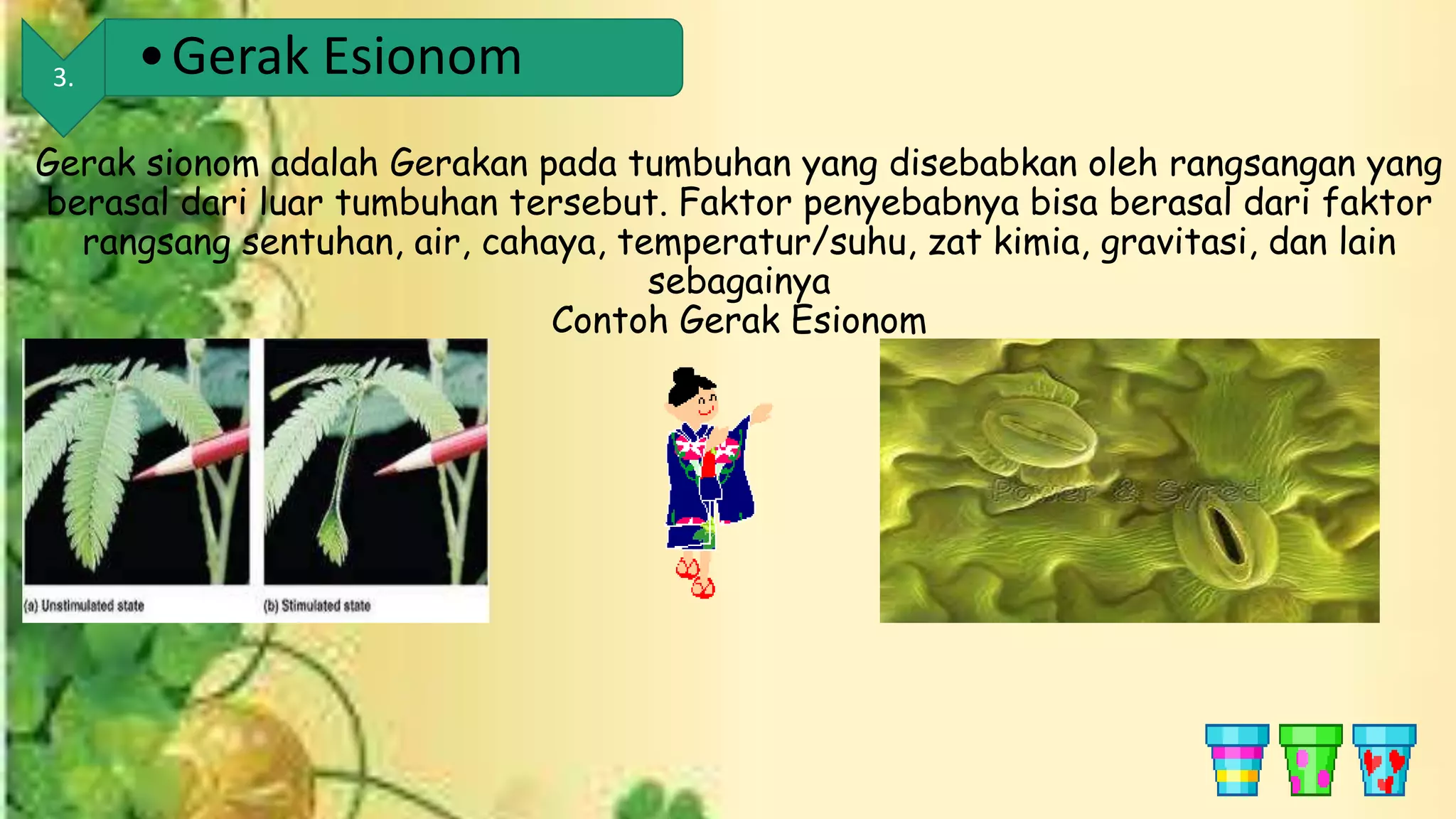 Gerak Pada Tumbuhan kelas 8 SMP | PPTX
