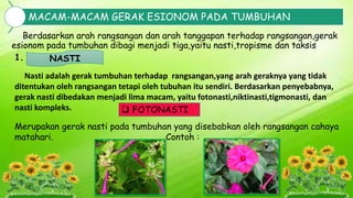Gerak Pada Tumbuhan kelas 8 SMP | PPTX