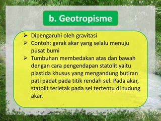 Gerak pada tumbuhan | PPT
