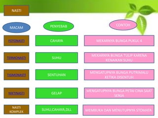 Gerak pada tumbuhan | PPTX