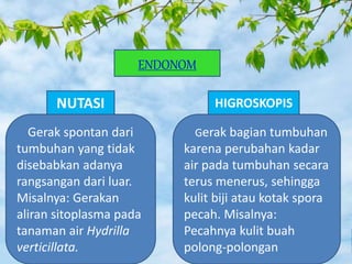 Gerak pada tumbuhan | PPTX