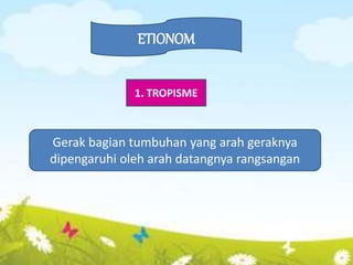 Gerak pada tumbuhan | PPTX