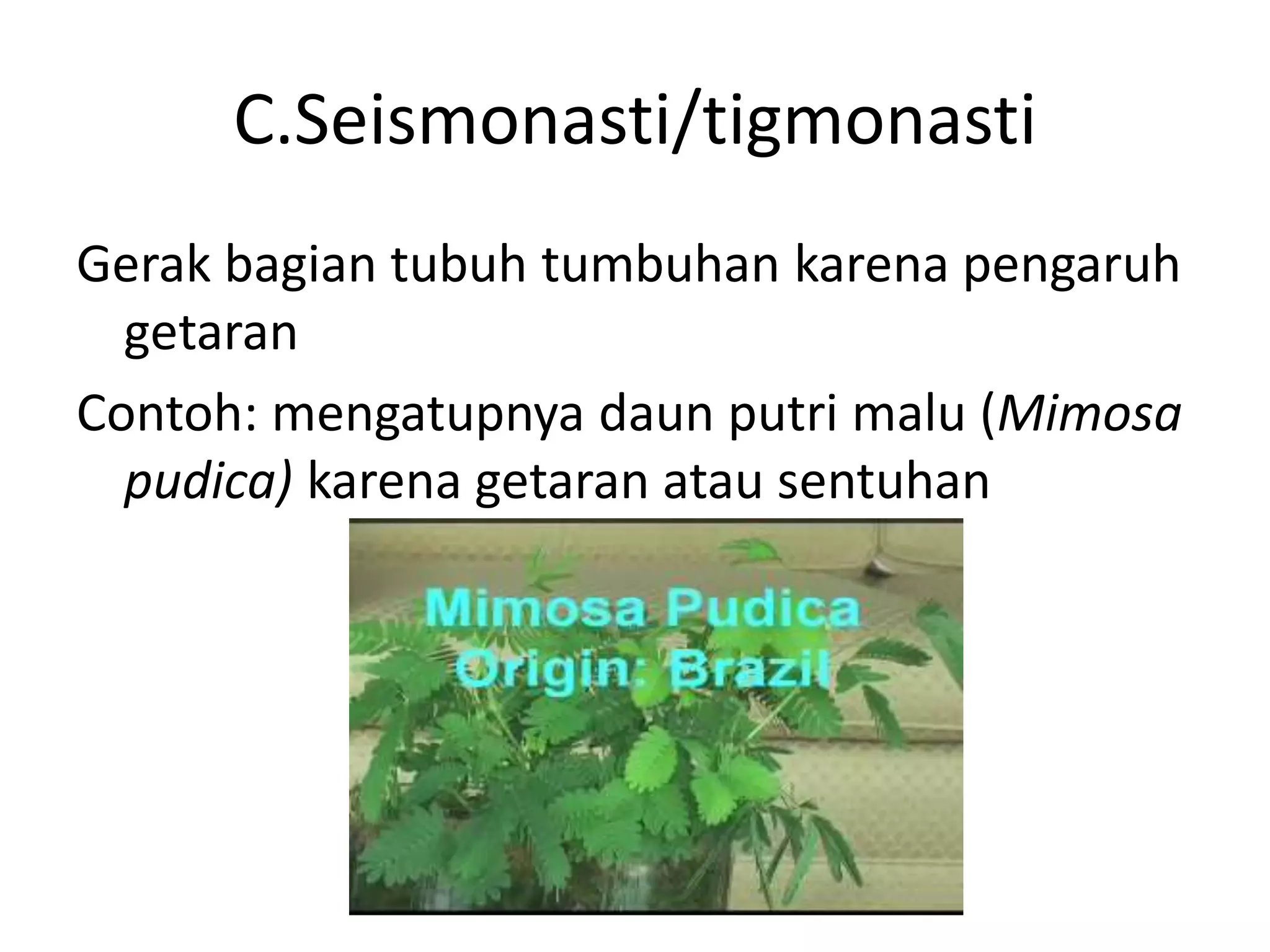 Gerak pada tumbuhan | PPTX