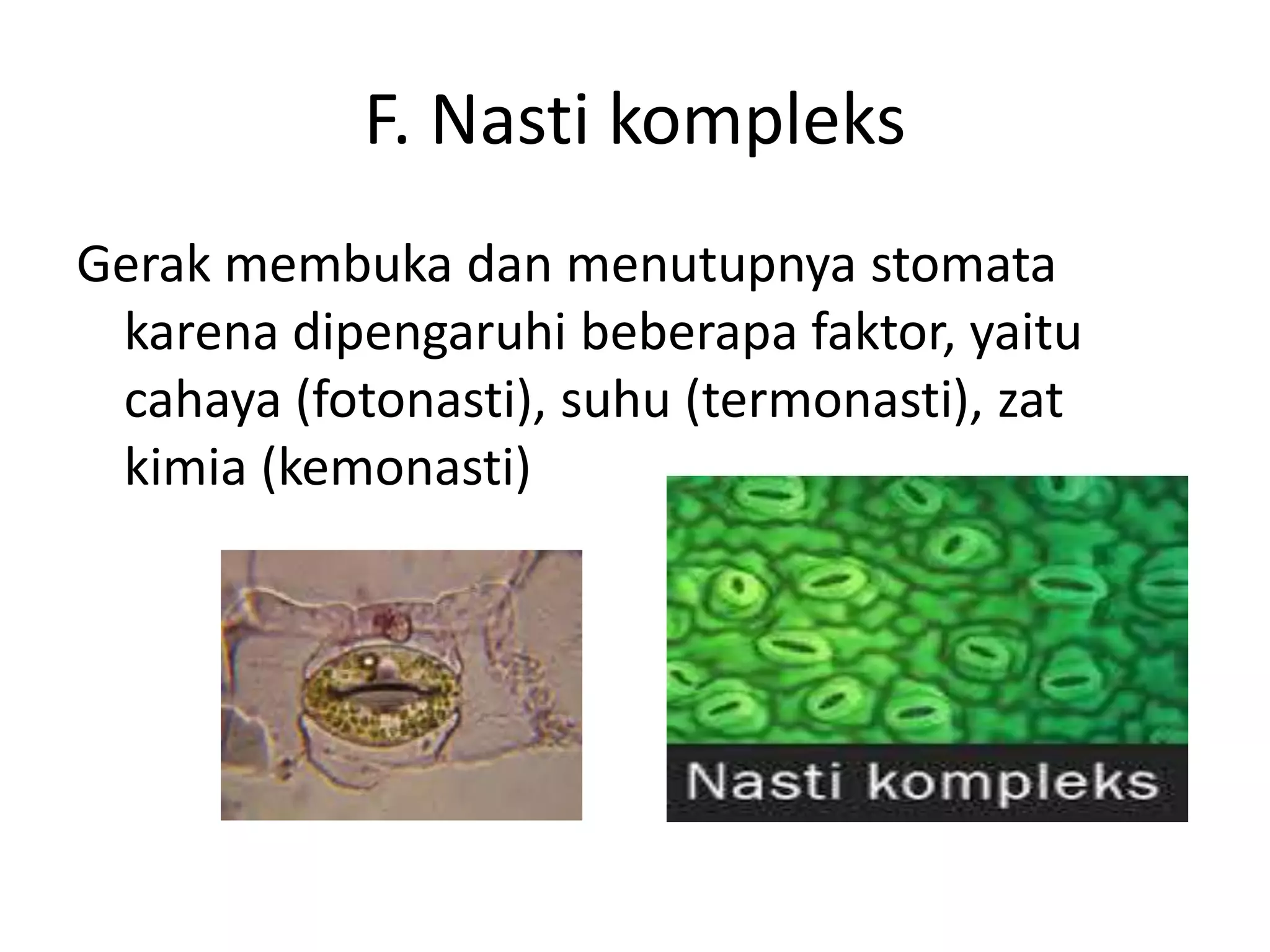 Gerak pada tumbuhan | PPTX