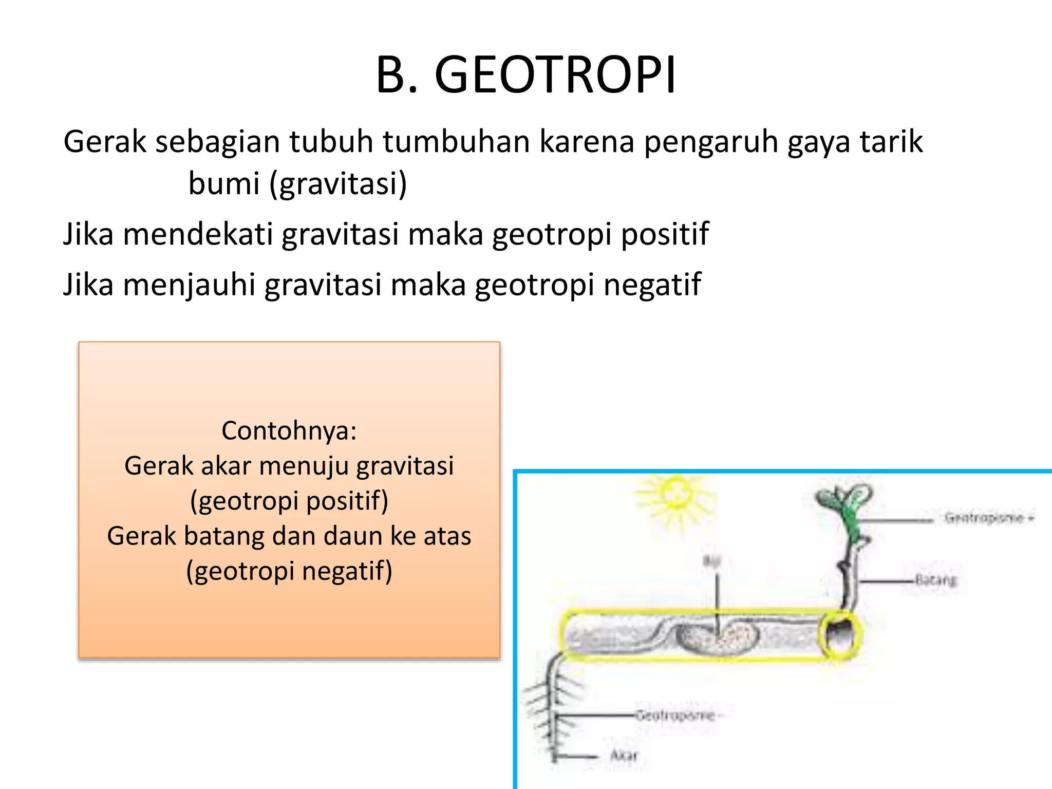 Gerak pada tumbuhan | PPTX