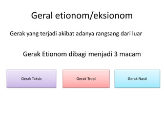 Gerak pada tumbuhan | PPTX