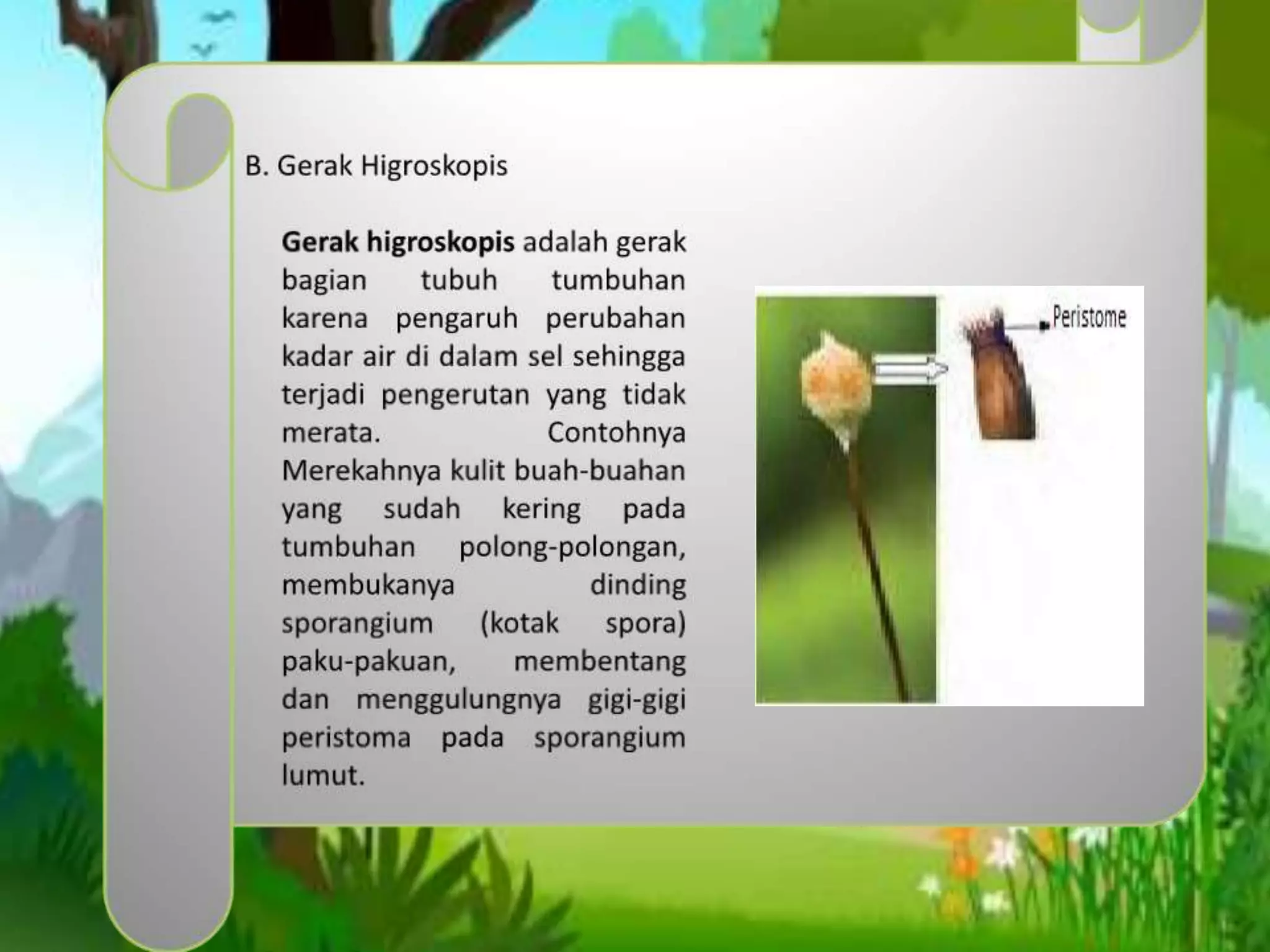 Gerak pada tumbuhan | PPTX