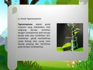 Gerak pada tumbuhan | PPTX