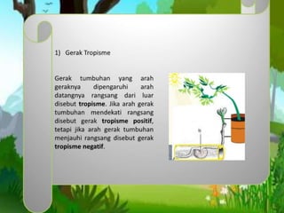 Gerak pada tumbuhan | PPTX