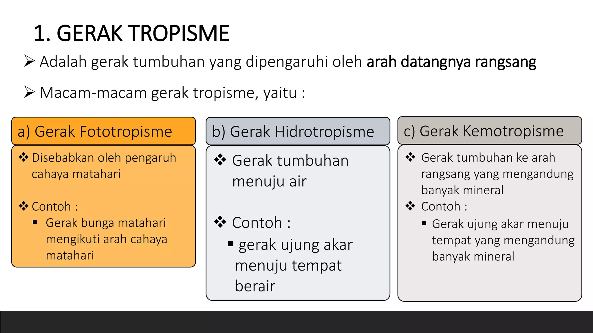 Gerak pada Tumbuhan.pptx