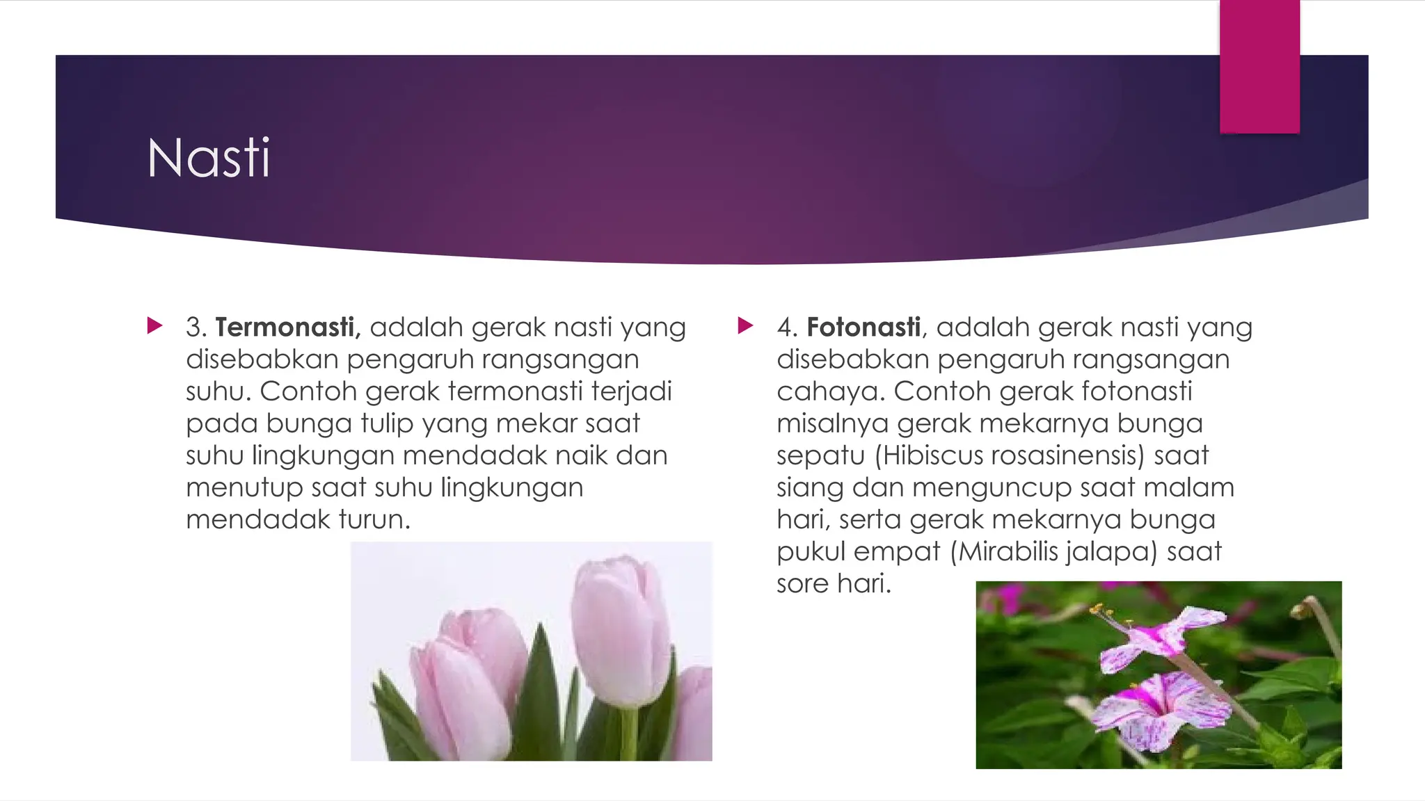 macam-macam gerak pasif pada tumbuhan.pptx