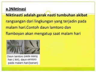 Gerak pada tumbuhan | PPTX