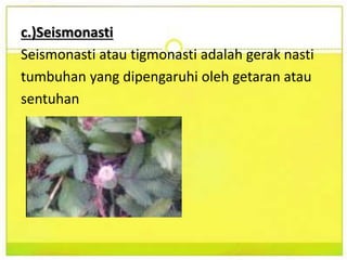 Gerak pada tumbuhan | PPTX