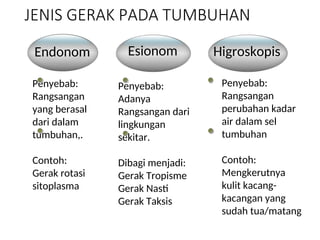 Gerak pada tumbuhan pertemuan 6.ppt fisiologi tumbuhan | PPT