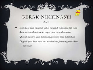 Gerak pada Tumbuhan | PPTX